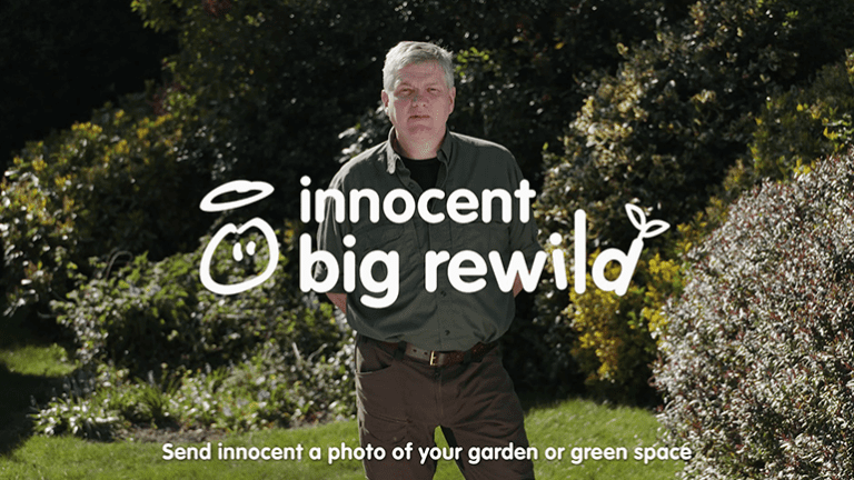 “Relevance is everything”: How Innocent Drinks adapts its TOV for every ...